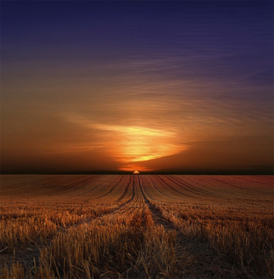 Young Hearts Aflame for Truth – ChosenRebel's Blog