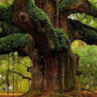 Serving the Poor – ChosenRebel's Blog